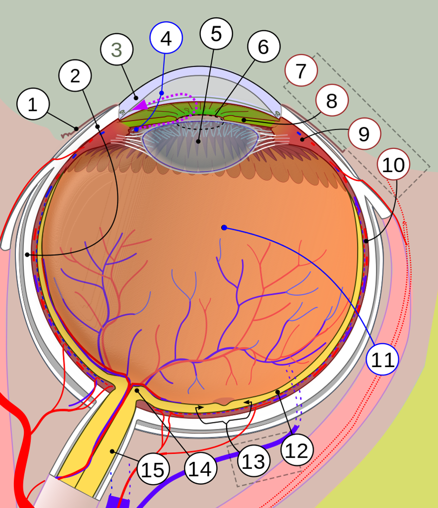 Answers to this Module